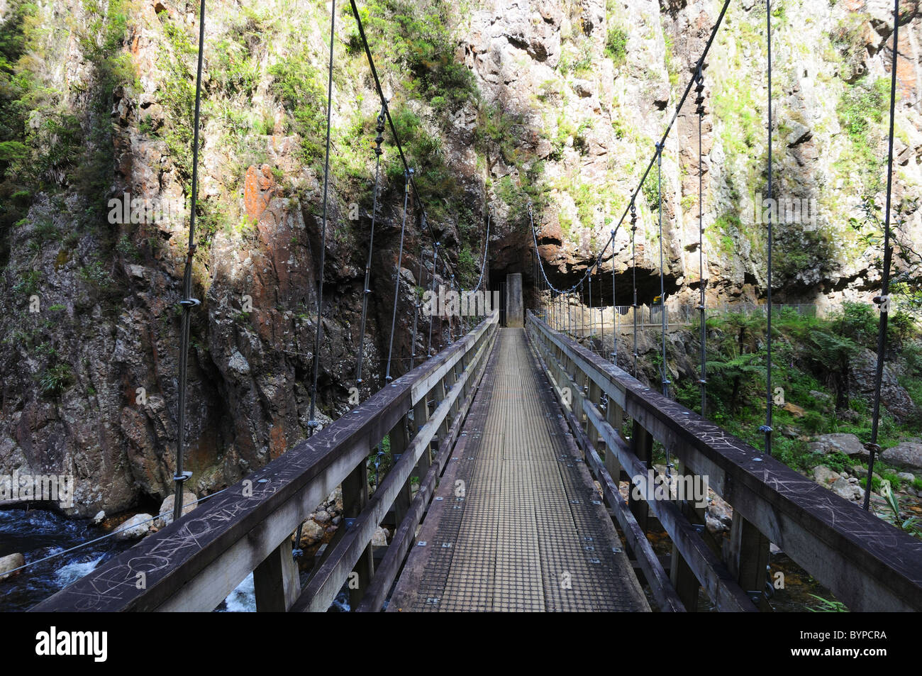 A footbridge in the Karangahake Gorge Walk, New Zealand Stock Photo - Alamy