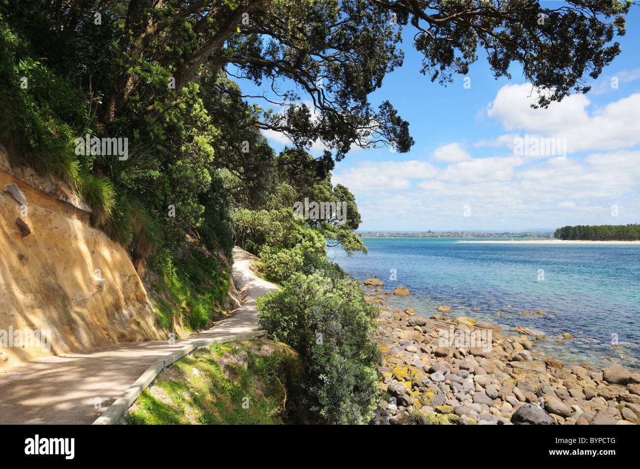 Footpath around Mount Maunganui in New Zealand Stock Photo - Alamy