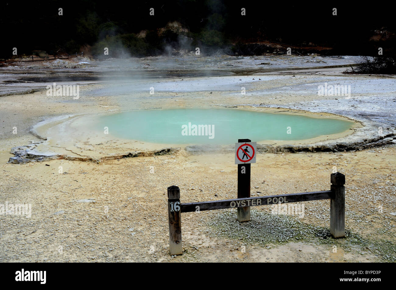 Taupo geothermal new zealand hi-res stock photography and images - Alamy