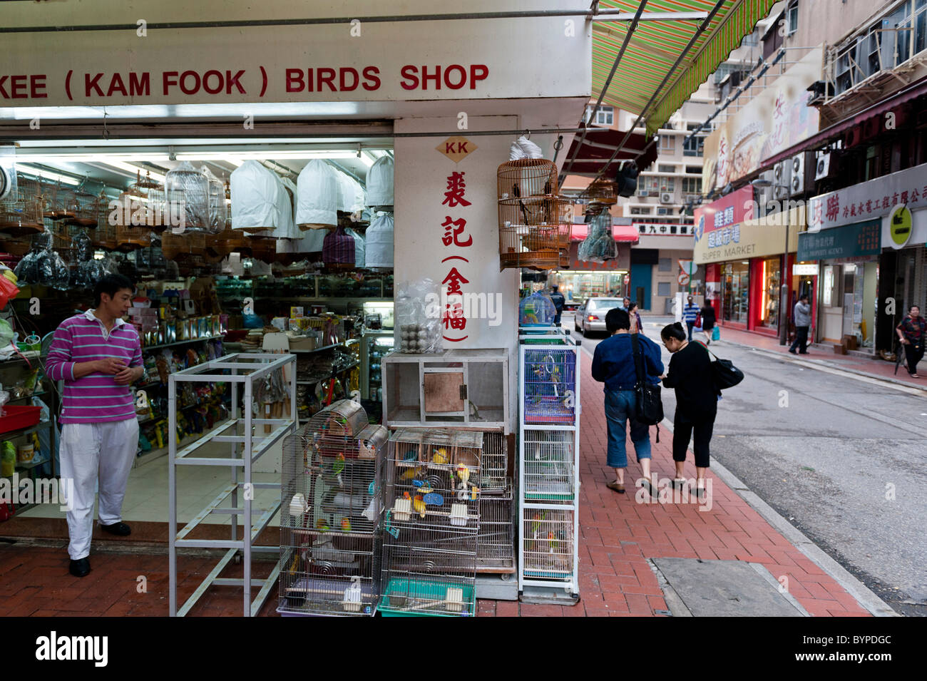 Traditional bird shop in Sheung Wan Stock Photo - Alamy