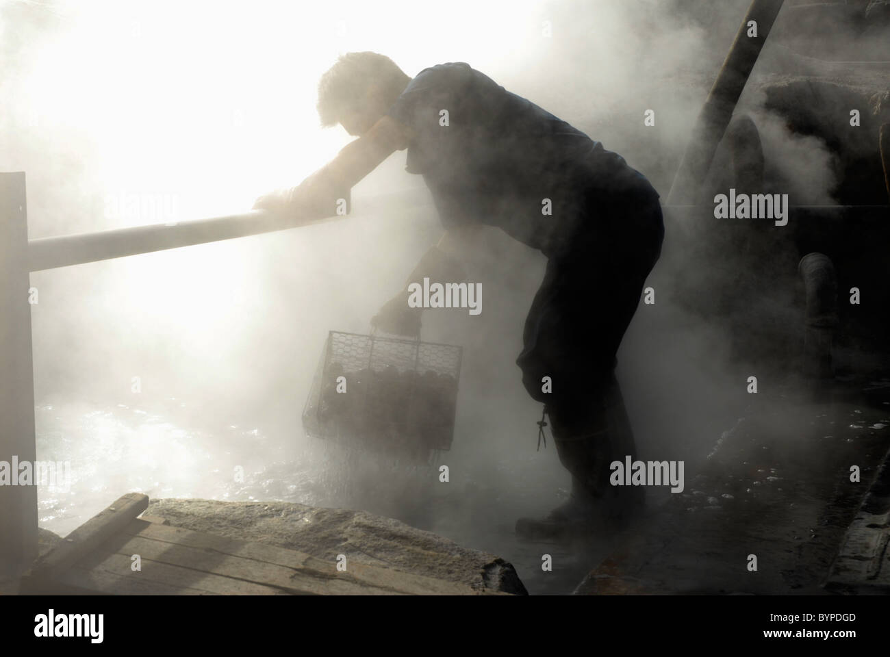 Man removing boiled eggs from natural hot sulphur springs in Hakone ...