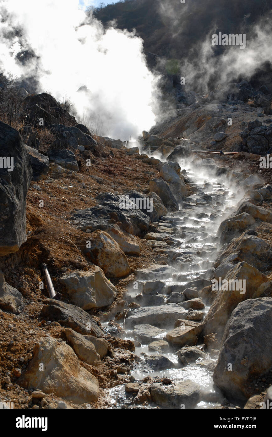 Tokyo hot hi-res stock photography and images - Alamy