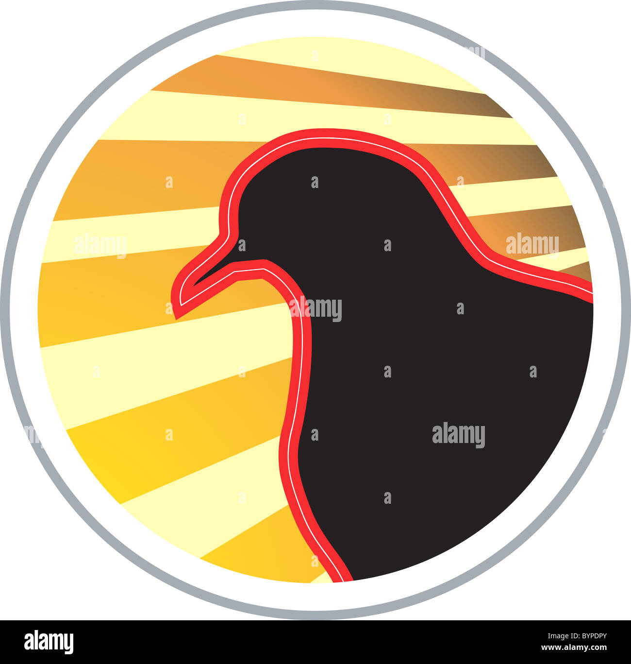 Radiant bird hi-res stock photography and images - Alamy