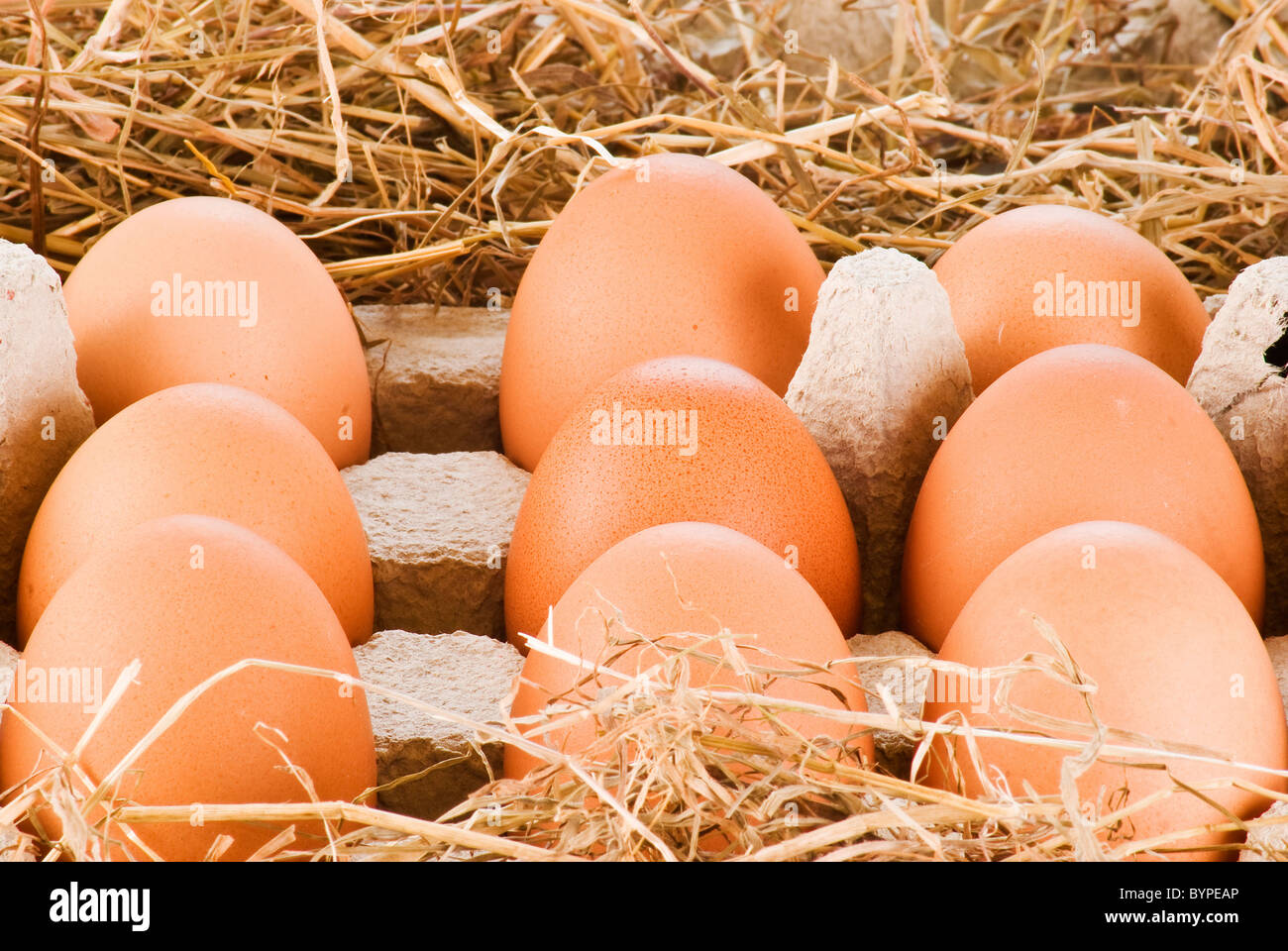 Freshly laid organic free range hi-res stock photography and images - Alamy