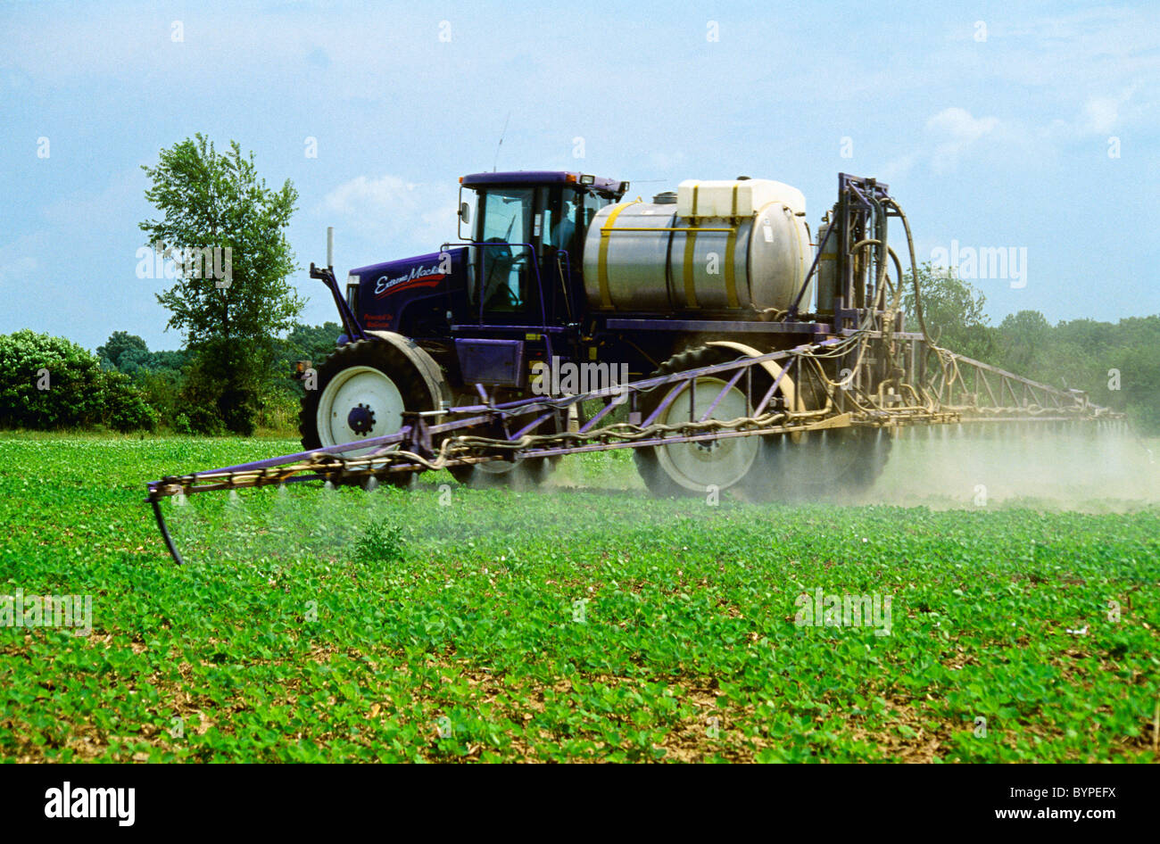 Chemical application of insecticide/herbicide on an early growth ...