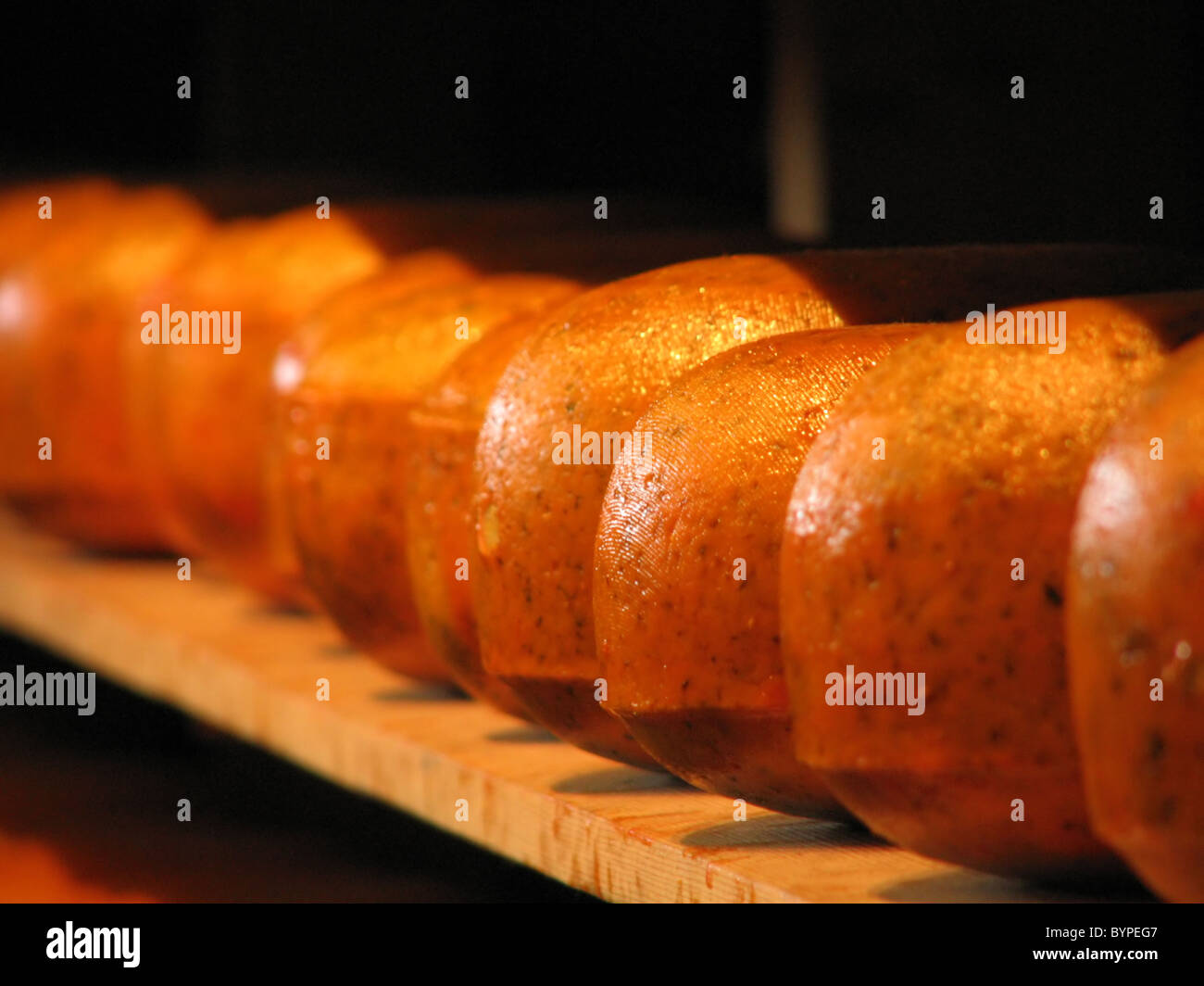 Dutch cheese drying at Clog Factory Cheese Farm near Amsterdam Holland ...