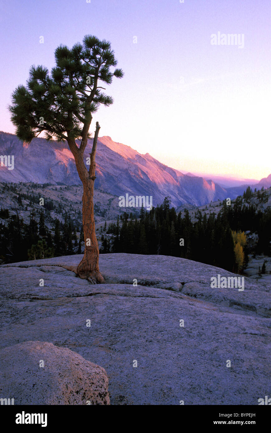 The tenaya canyon hi-res stock photography and images - Alamy