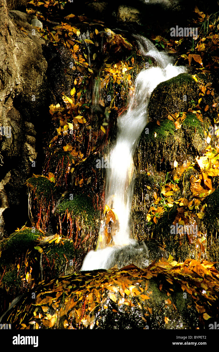 Oak Creek waterfall Stock Photo - Alamy