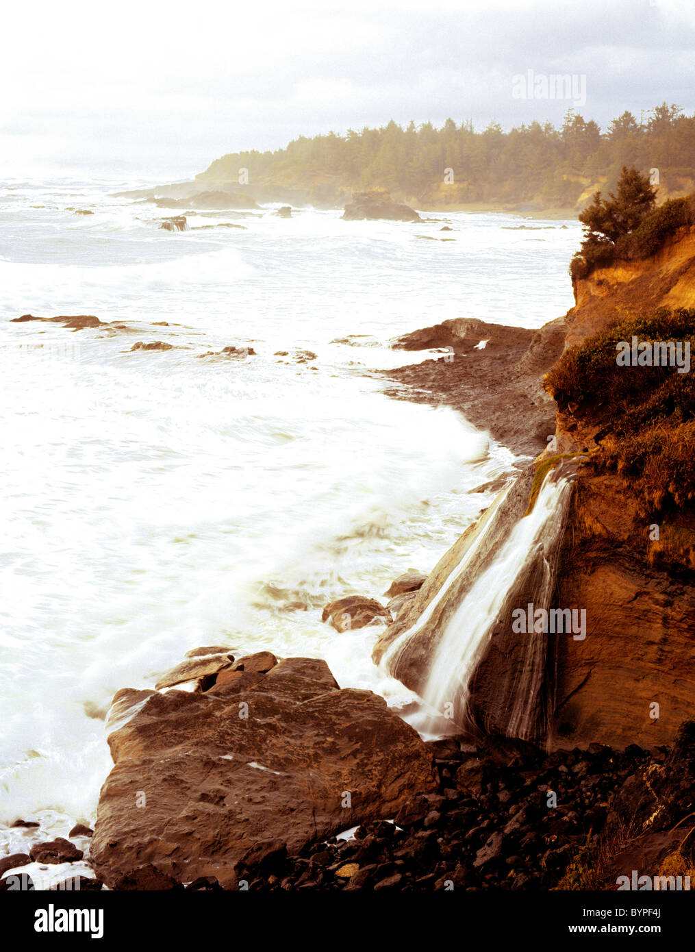 Pacific coast waterfall Stock Photo - Alamy