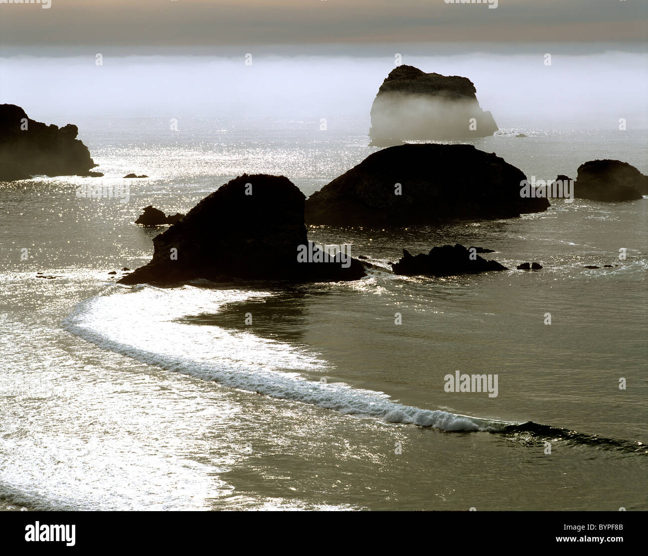 Pacific coast fog Stock Photo - Alamy