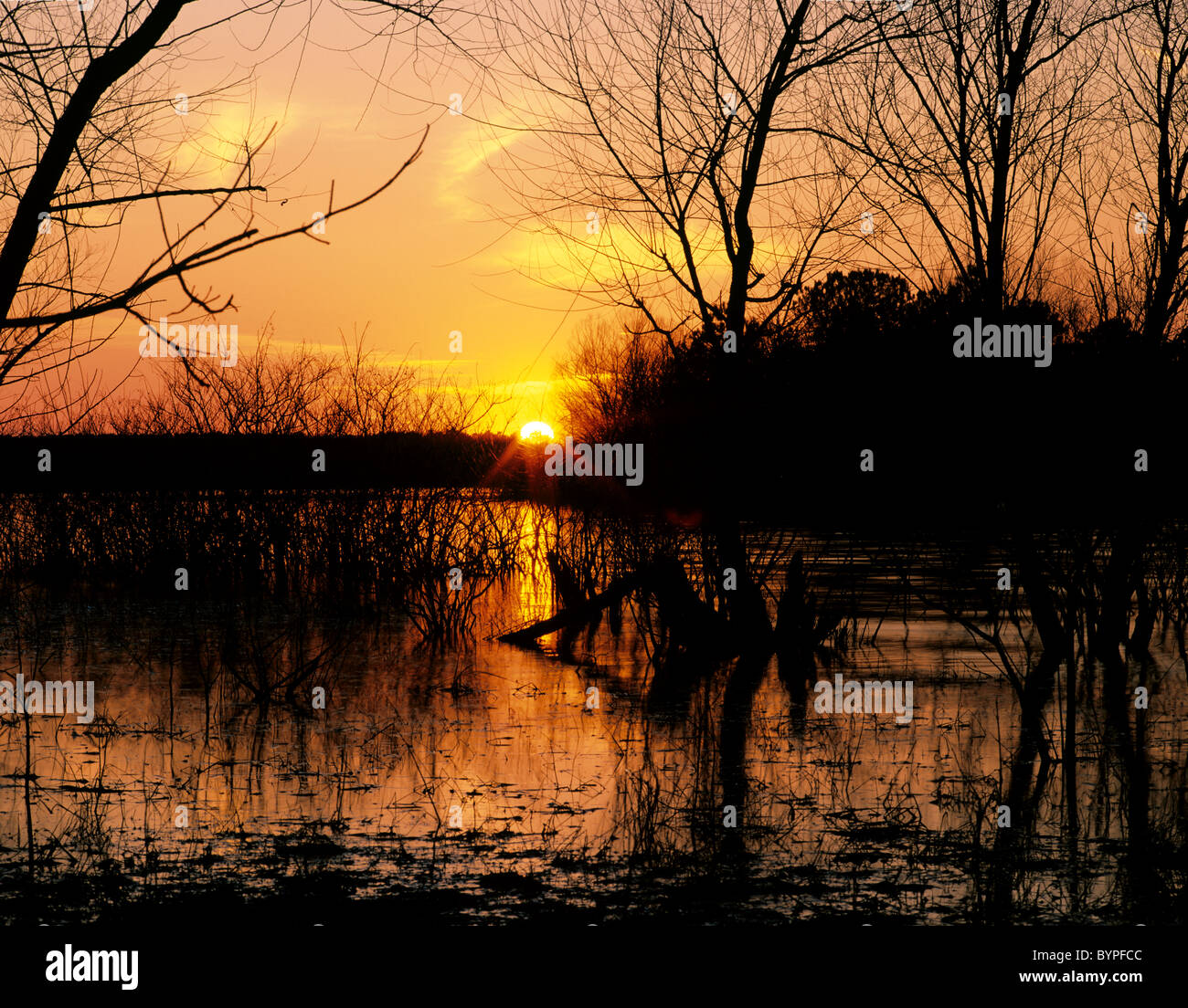 Lake seminole hi-res stock photography and images - Alamy