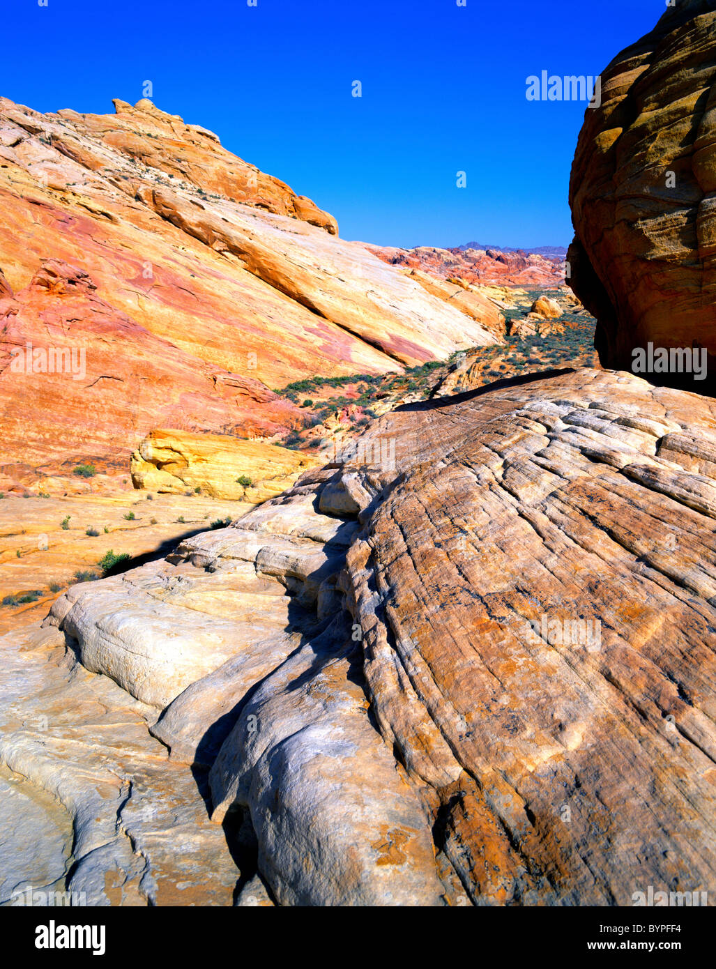 Valley of Fire rocks Stock Photo - Alamy
