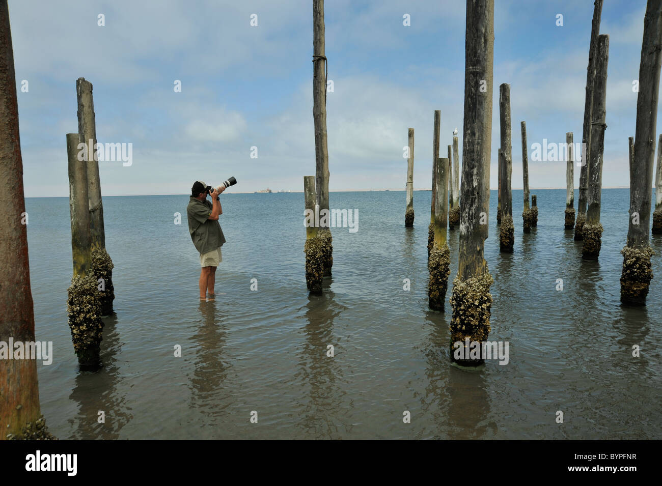 People, adult man, photographer taking photo of old decaying poles in ...
