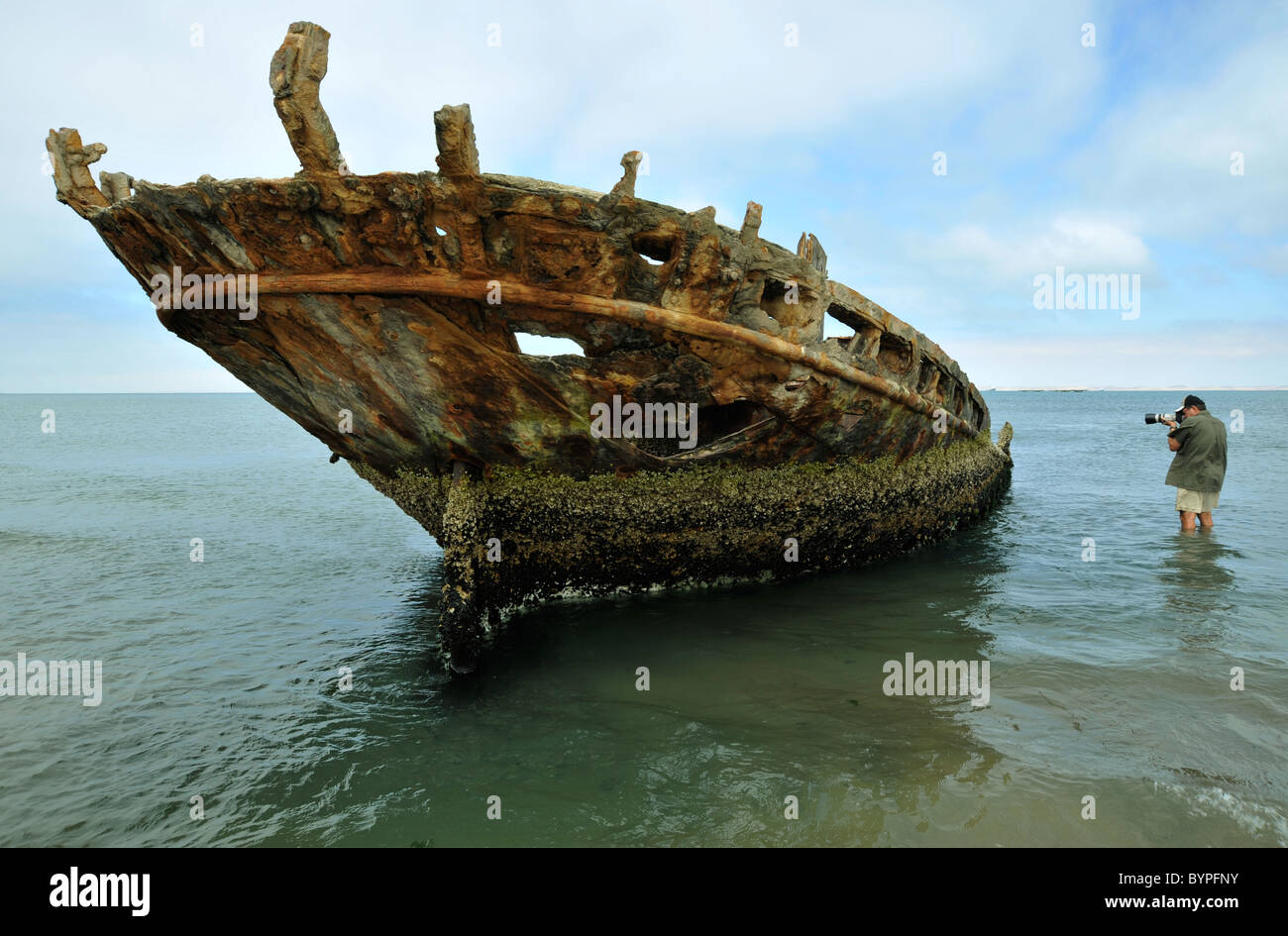 Man photographing rusting hull of ship wreck in shallow water of ...