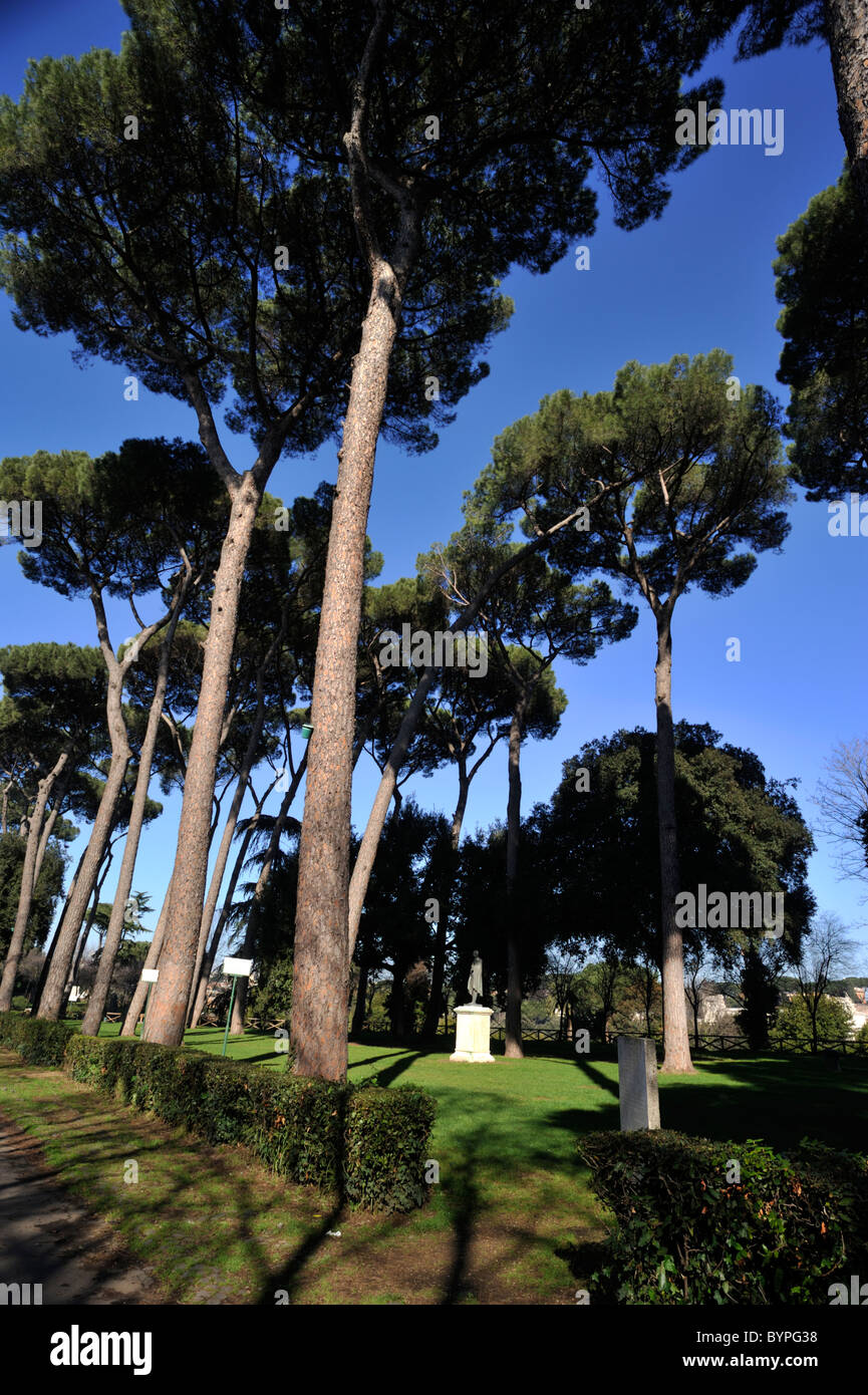 Villa borghese pine trees hi-res stock photography and images - Alamy