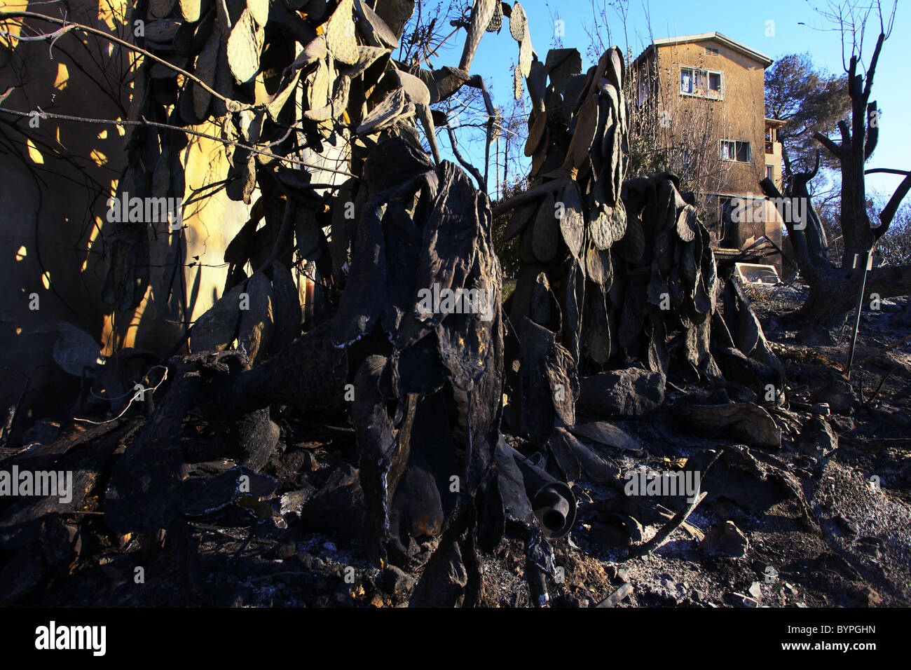 Oren mount carmel hi-res stock photography and images - Alamy