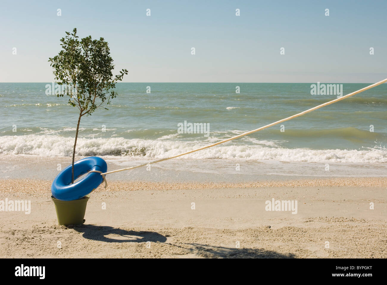 Rope attached to life belt encircling tree growing at water's edge on ...