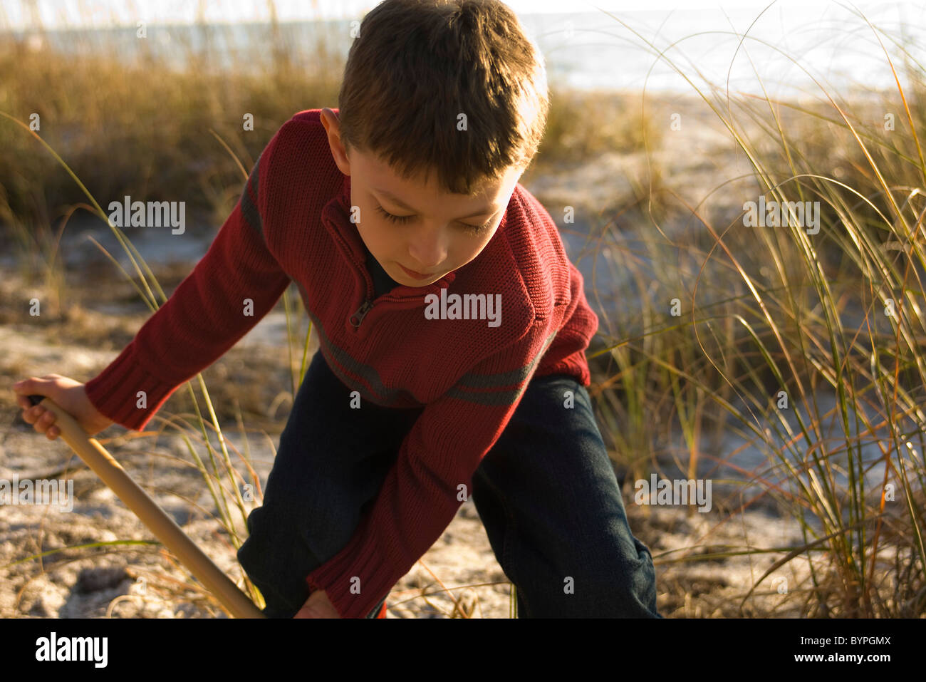 Boy digging with shovel on grassy dune, beach and sea in background ...