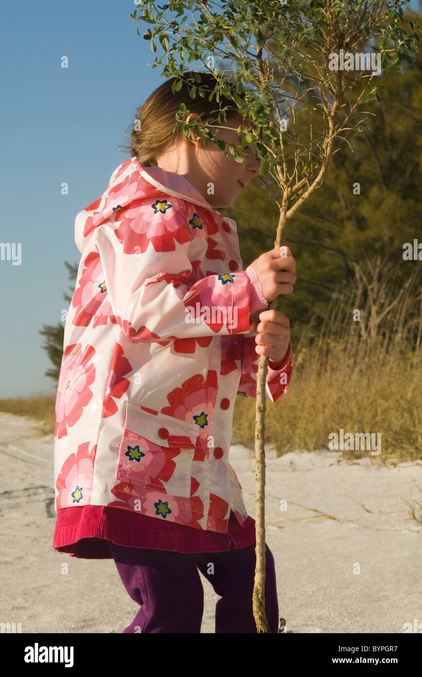 Holding Tree Sapling High Resolution Stock Photography and Images - Alamy