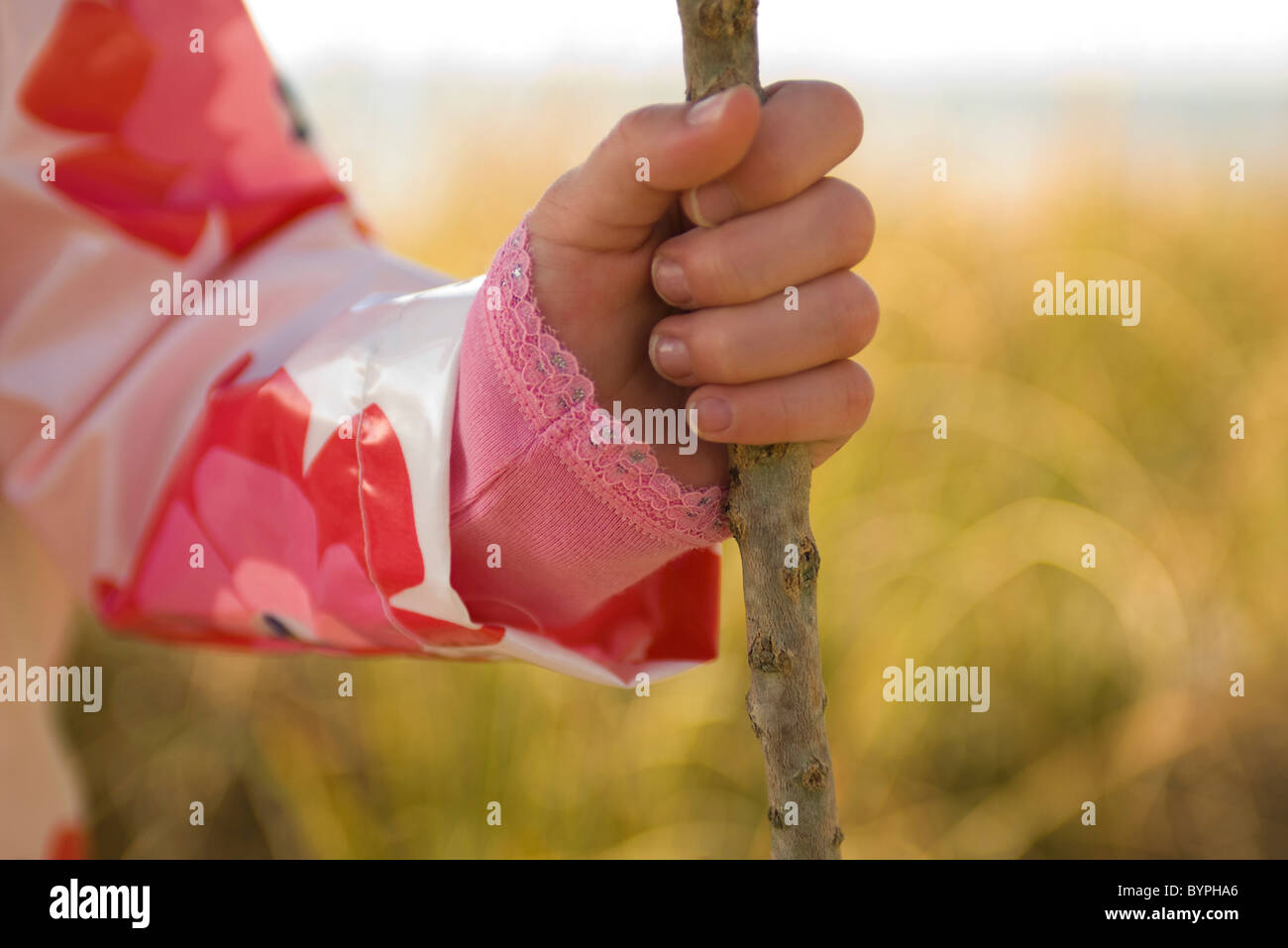 Child's hand holding tree branch Stock Photo - Alamy