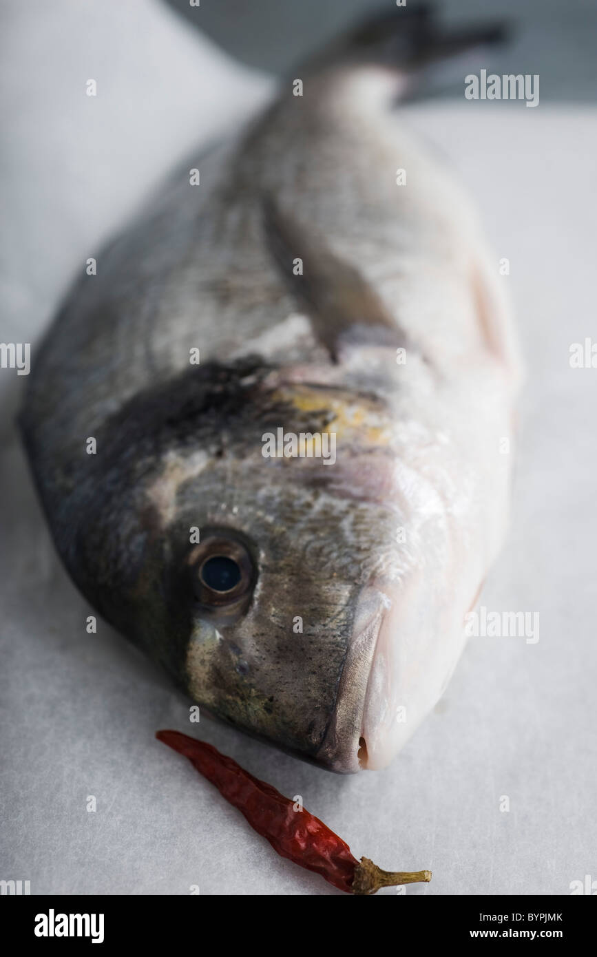 Bream studio hi-res stock photography and images - Alamy