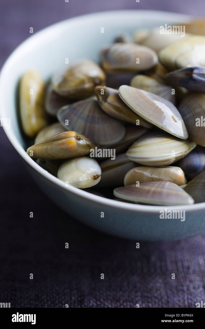 Bowl of fresh clams Stock Photo - Alamy