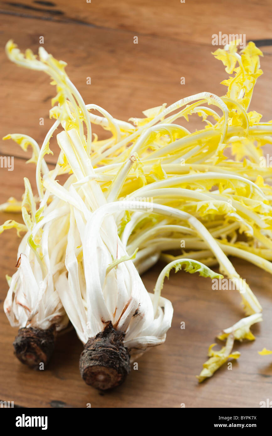 Frisee lettuce hi-res stock photography and images - Alamy