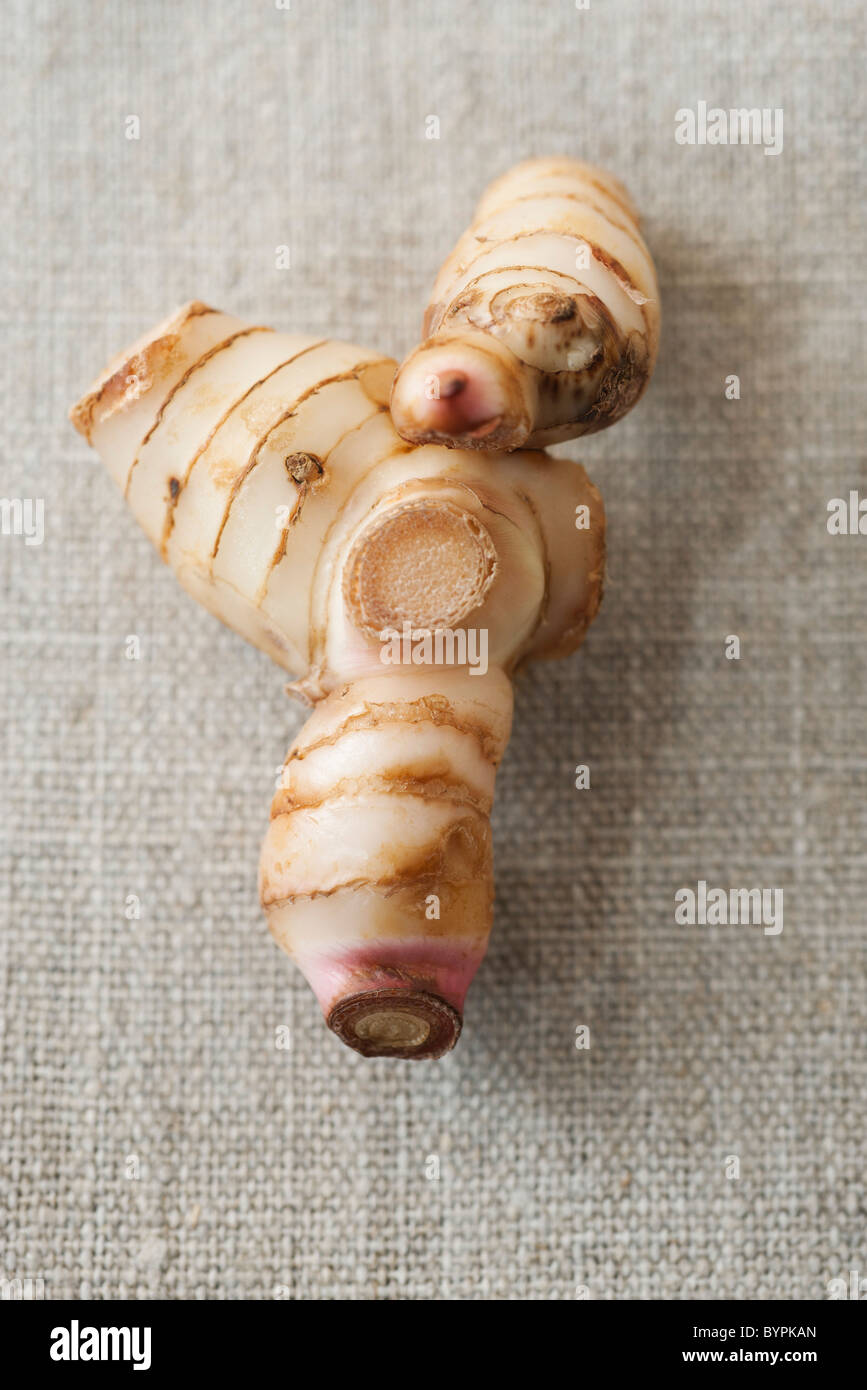 Galangal root hi-res stock photography and images - Alamy