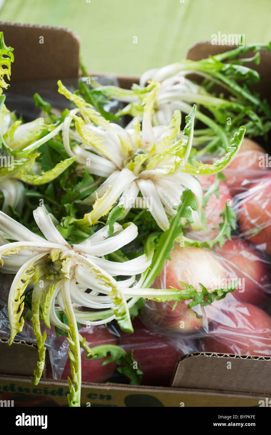 Endive heads and other fresh produce Stock Photo - Alamy