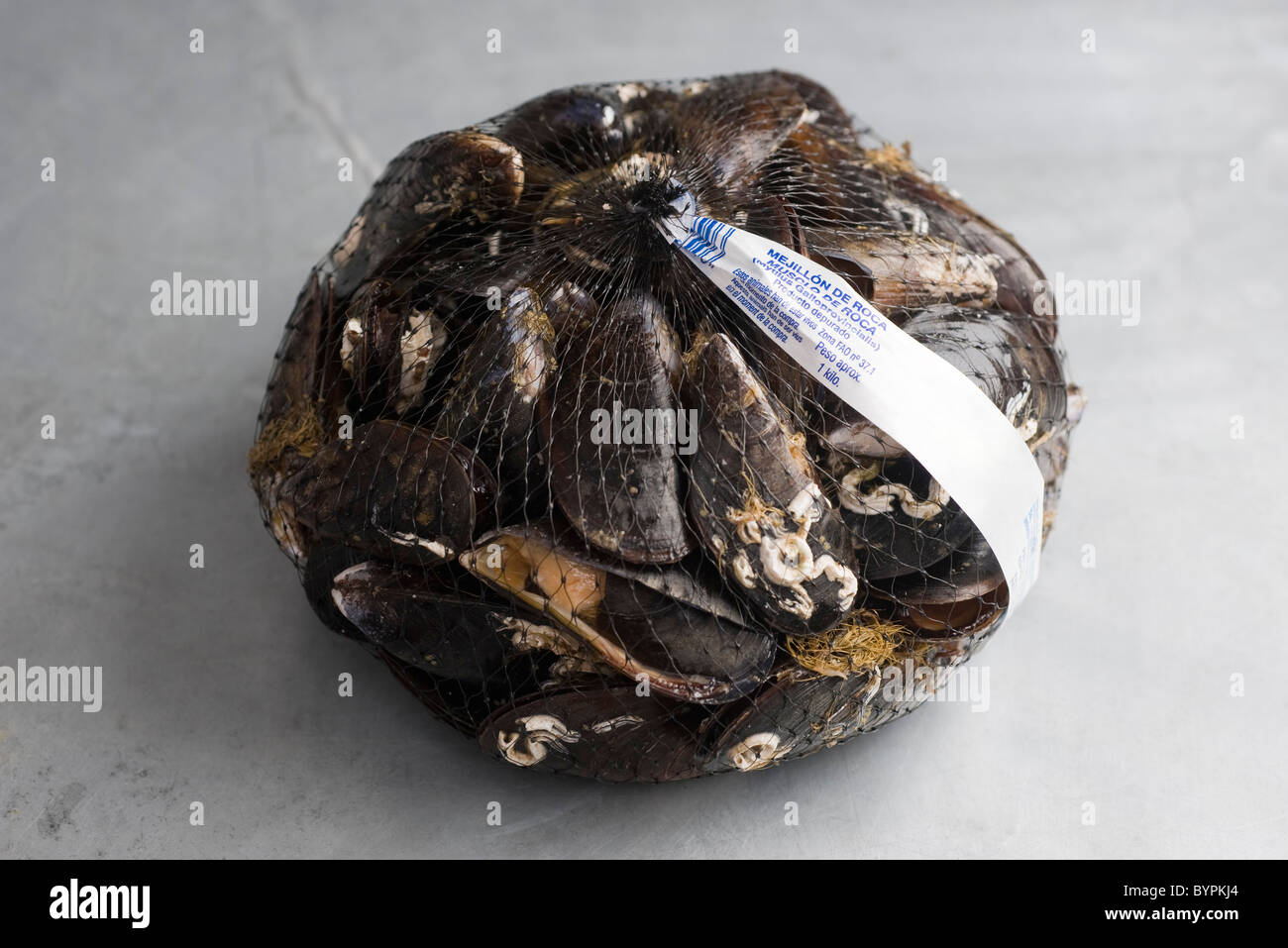 Sack of fresh mussels Stock Photo - Alamy