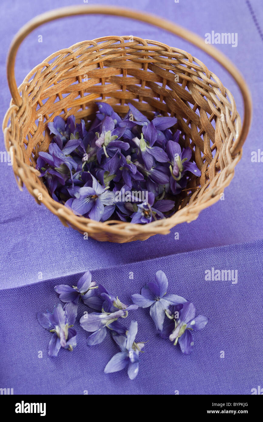 Violet flowers in basket Stock Photo - Alamy
