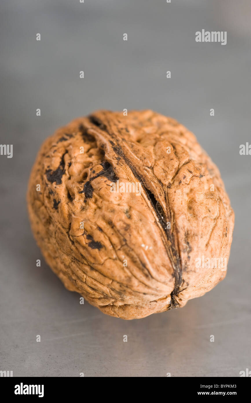 Walnut colour hi-res stock photography and images - Alamy