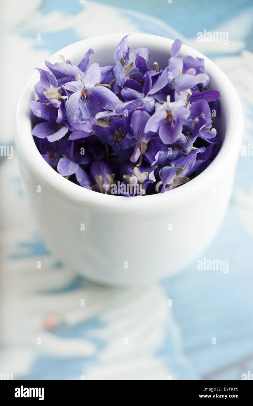 Violet flowers in cup Stock Photo - Alamy