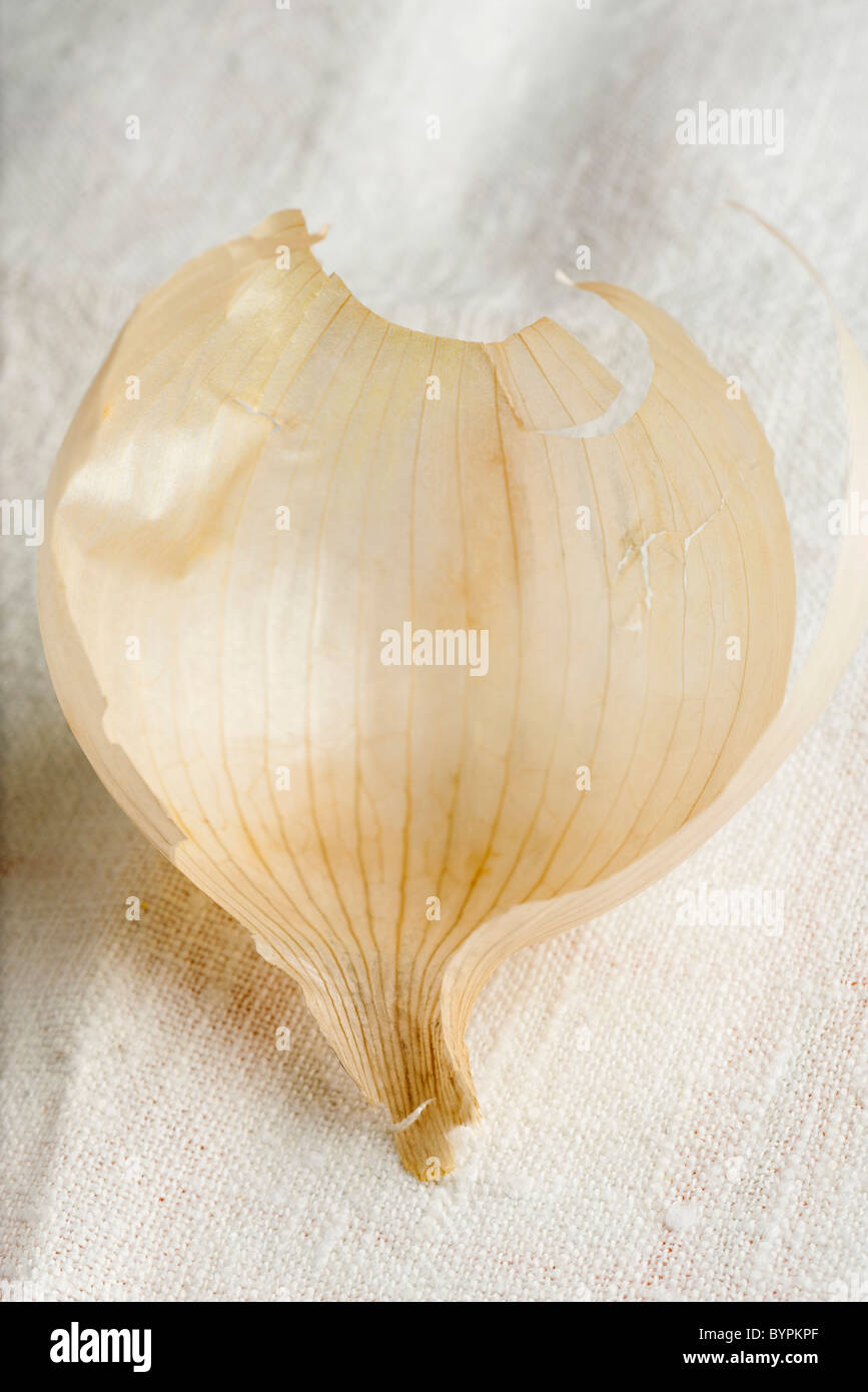 Onion peel hi-res stock photography and images - Alamy
