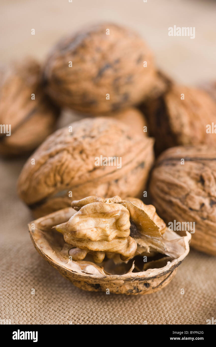 Walnut hi-res stock photography and images - Alamy