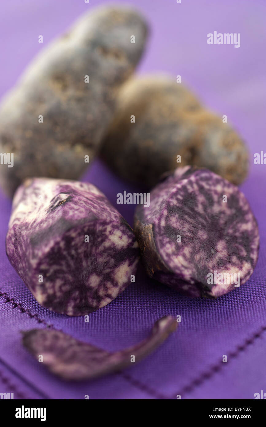 Purple mottled hi-res stock photography and images - Alamy