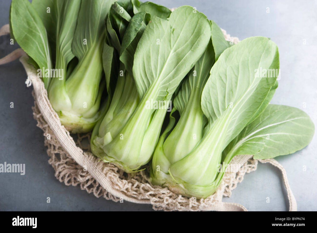 Fresh bok choy Stock Photo - Alamy