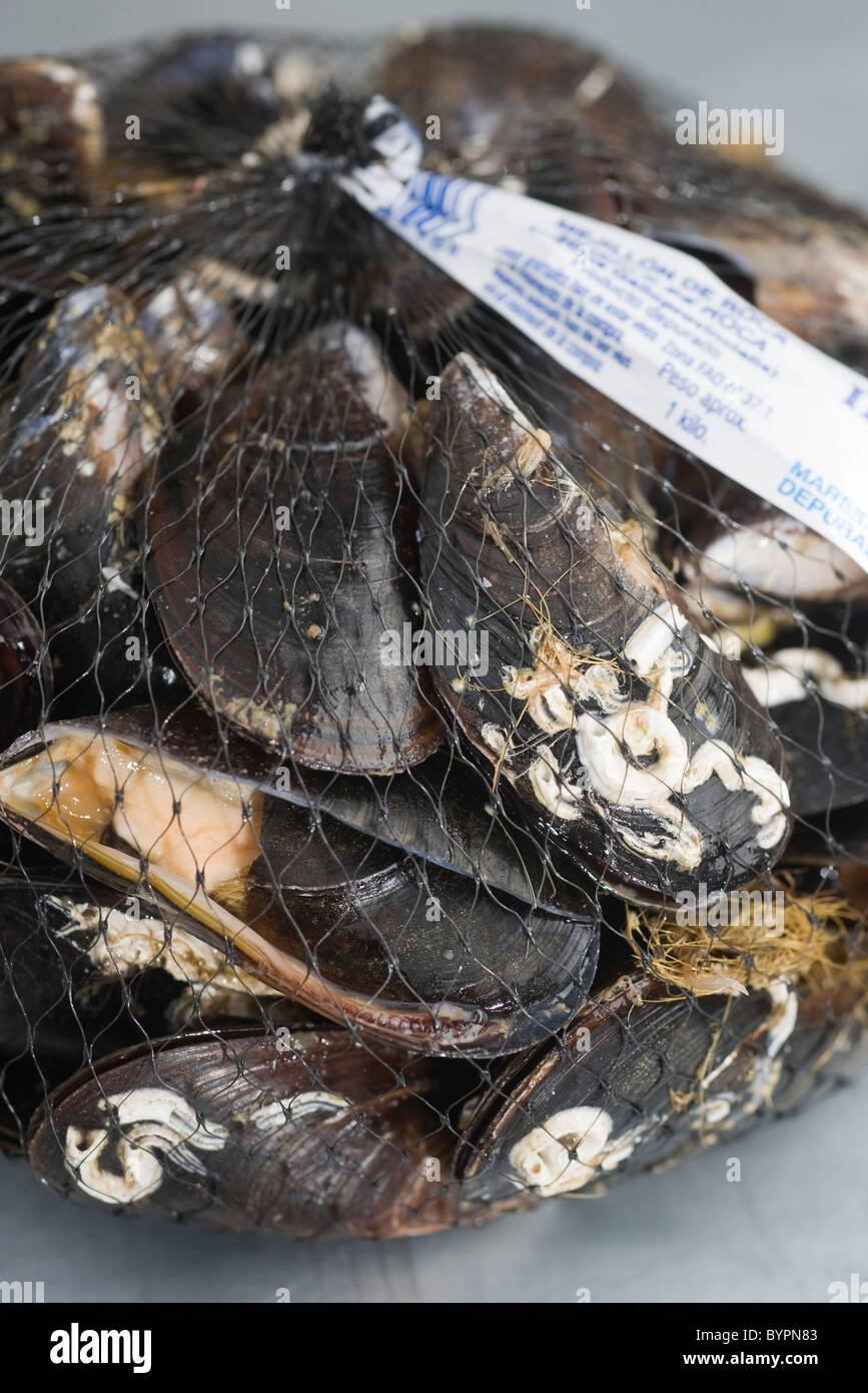 Sack of fresh mussels Stock Photo - Alamy