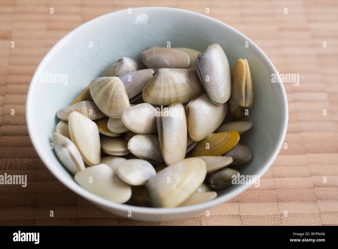 Tellina hi-res stock photography and images - Alamy