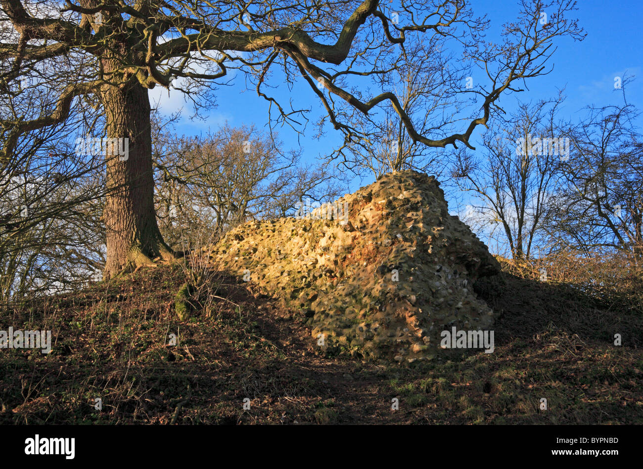 Uk ruins roman education hi-res stock photography and images - Alamy
