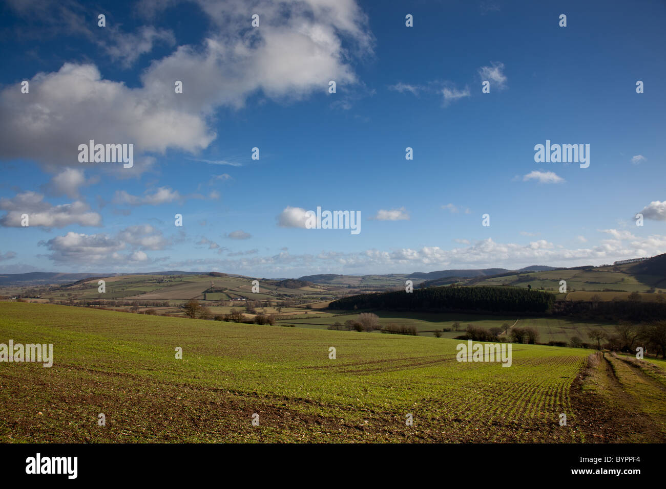 Looking over the rural Shropshire Hills near Bishop's Castle ...