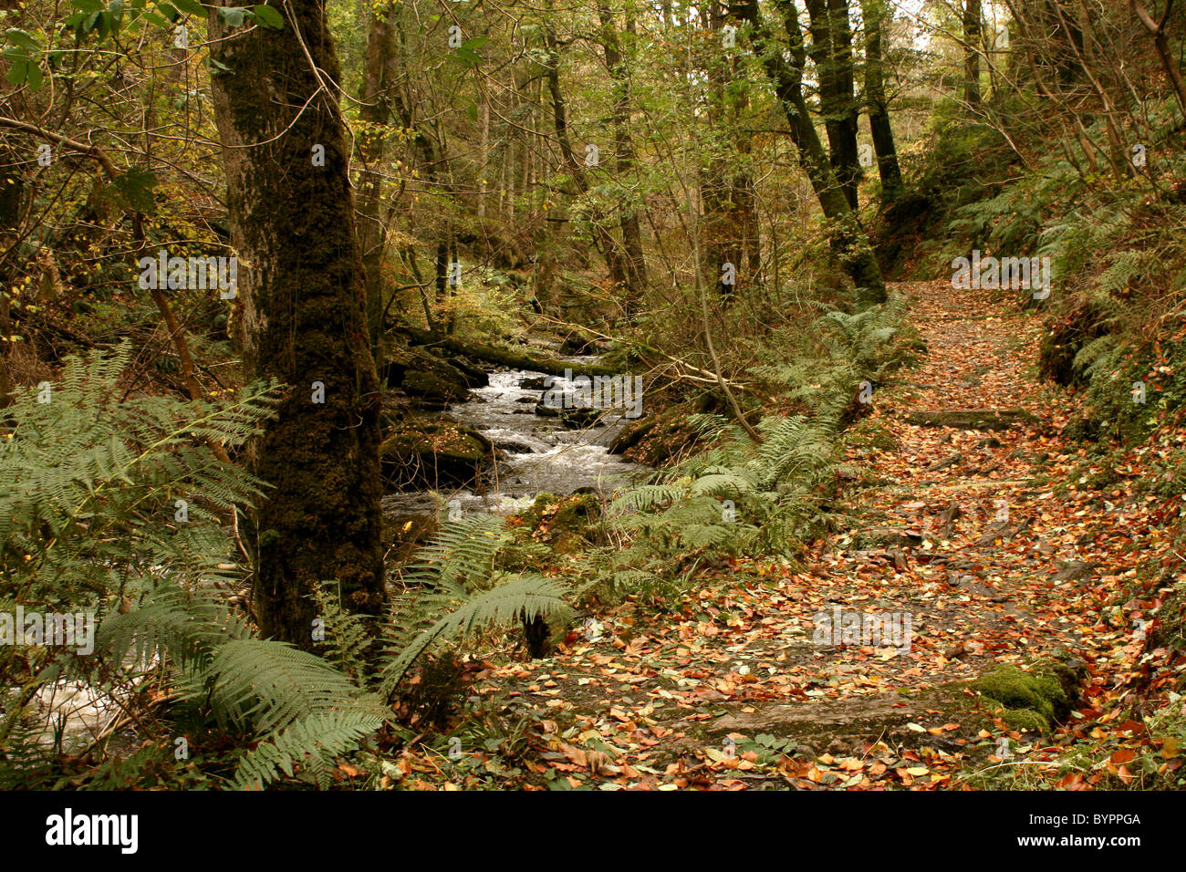 Glen Helen House Isle Of Man at Anna Octoman blog