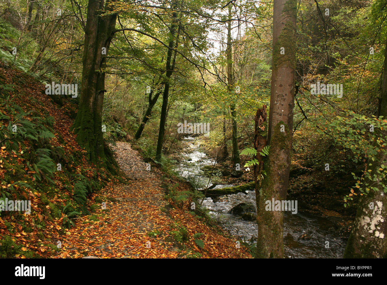 Glen Helen House Isle Of Man at Anna Octoman blog