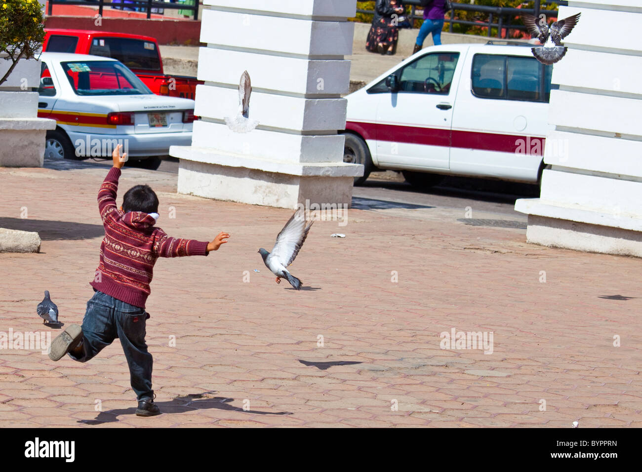 Young boy chasing pigeons hi-res stock photography and images - Alamy