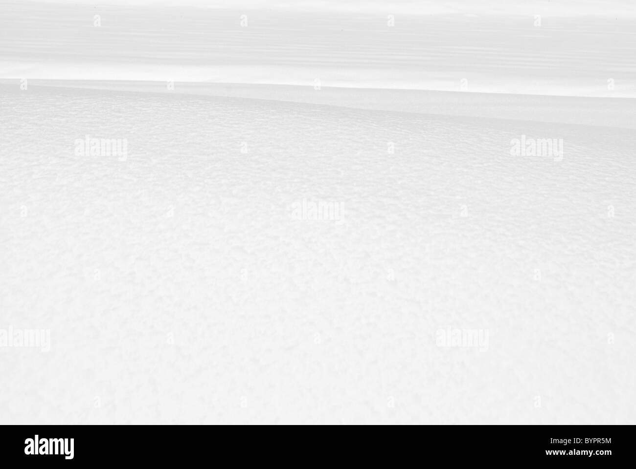 Snowed in forest Black and White Stock Photos & Images - Alamy