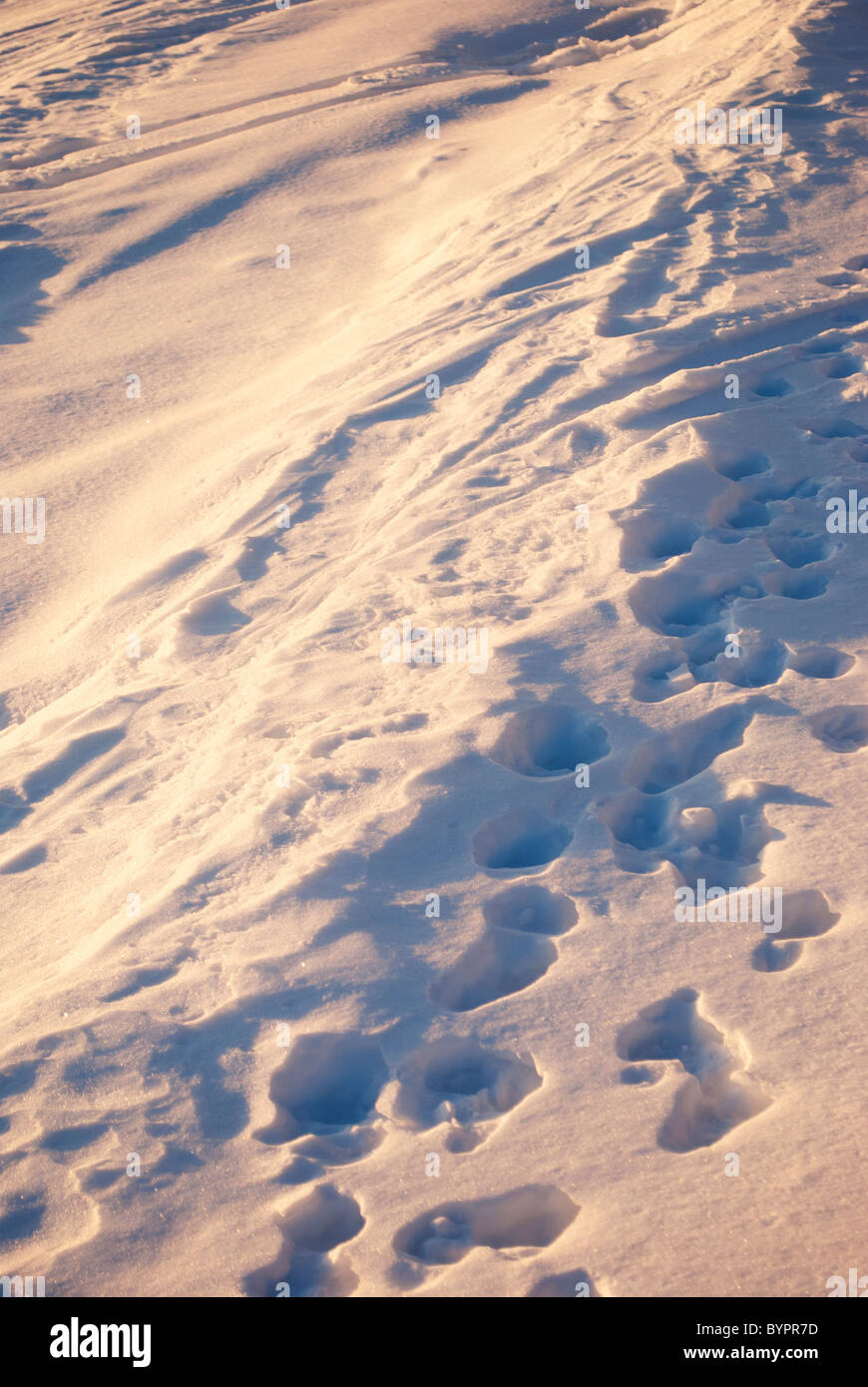 snow texture, background Stock Photo - Alamy