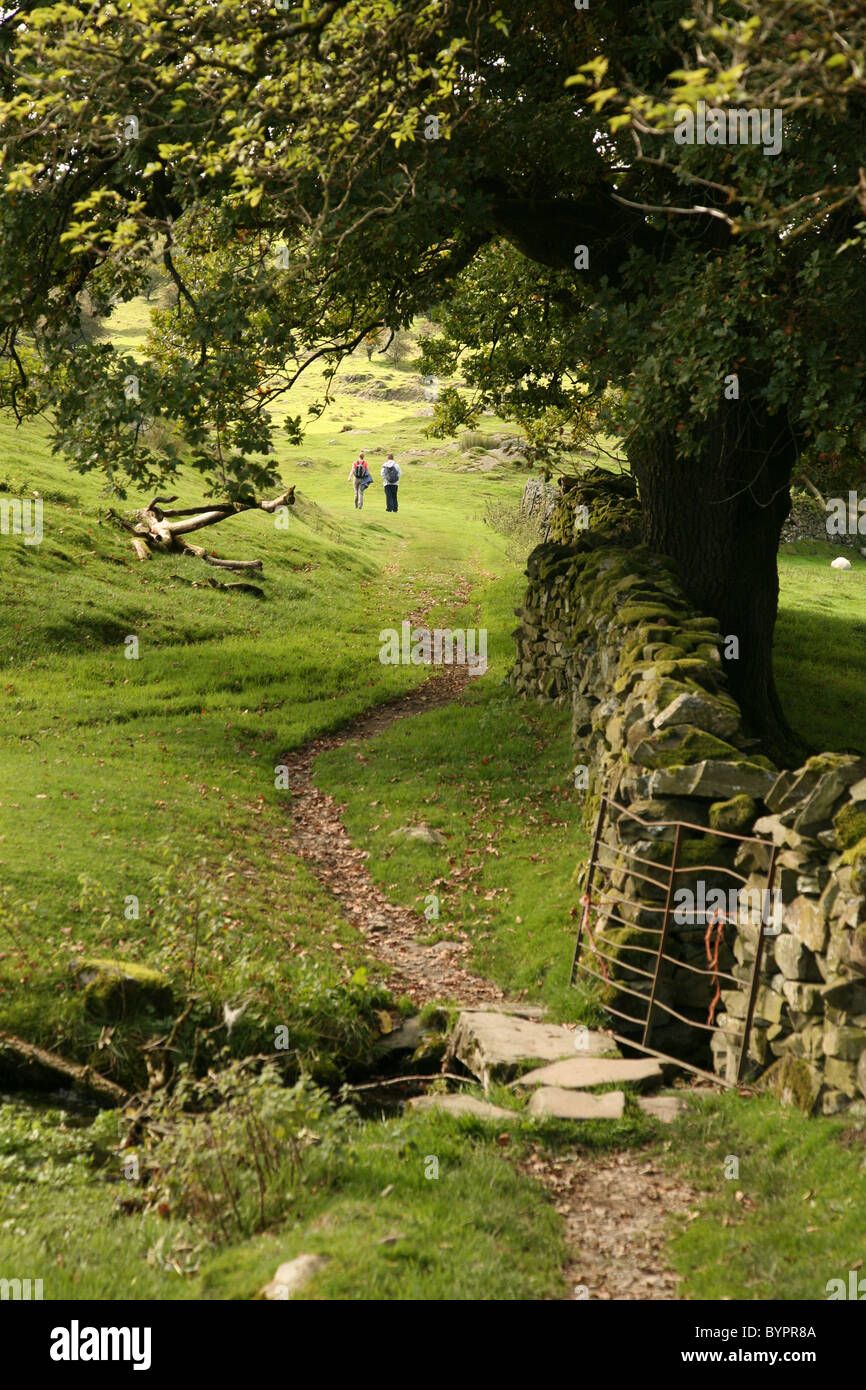 A country track with two 2 people walking (in the distance) in the ...