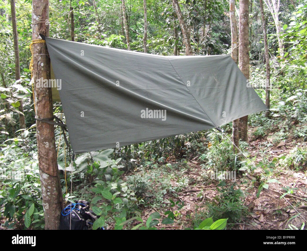 Jungle camp hi-res stock photography and images - Alamy