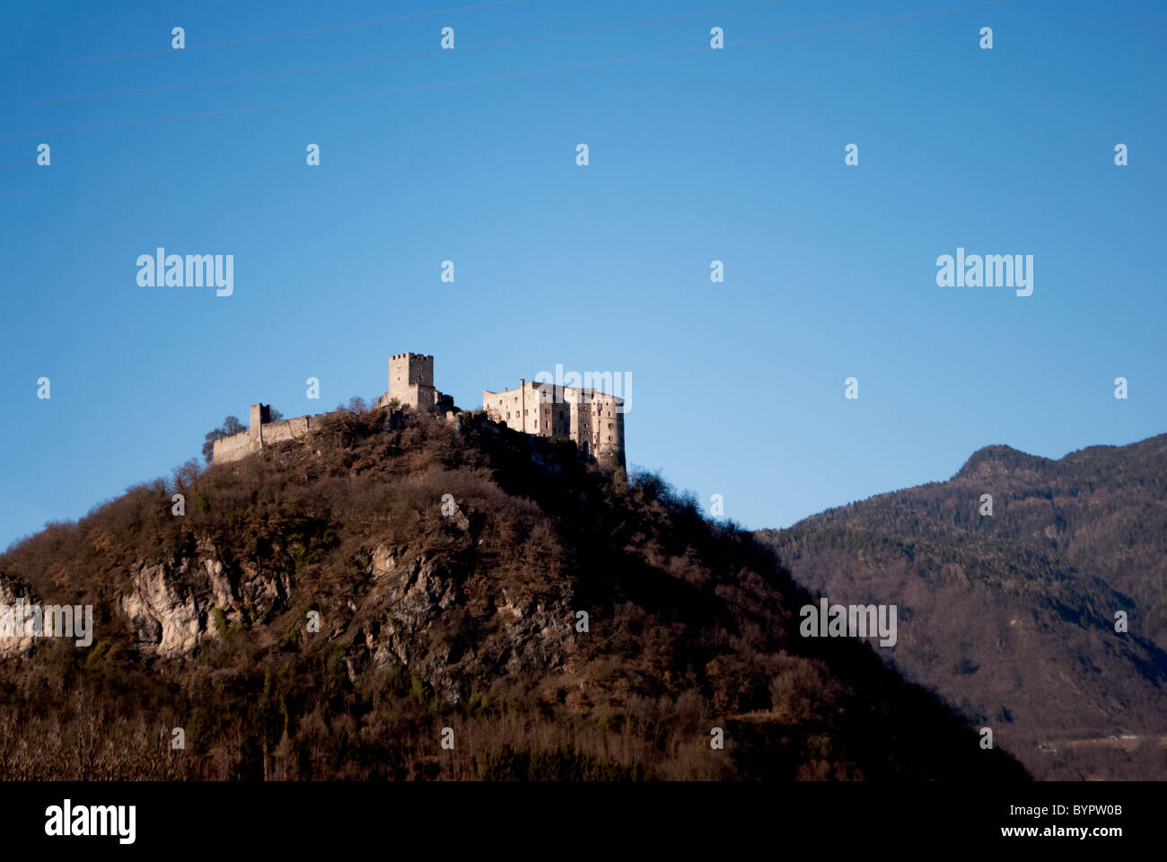 medieval castle in the forest of pine and larch Stock Photo - Alamy