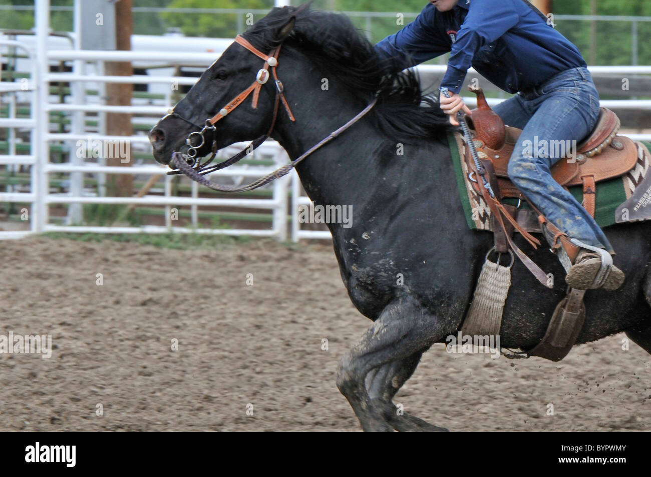 Barrel racing, Rodeo, Salmon, Idaho, Teen, Teenager, Girl, Girls, Horse ...